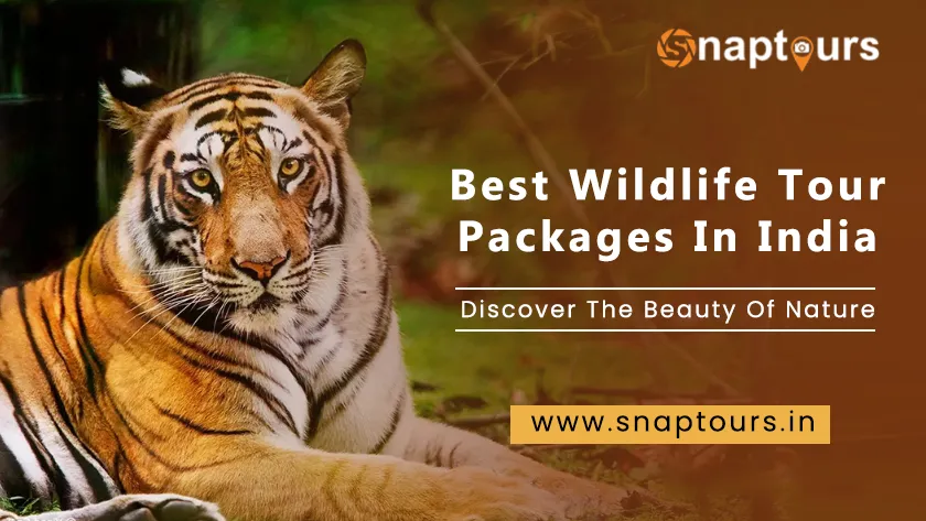 Wildlife Tour Packages In India - Discover the Beauty of Nature